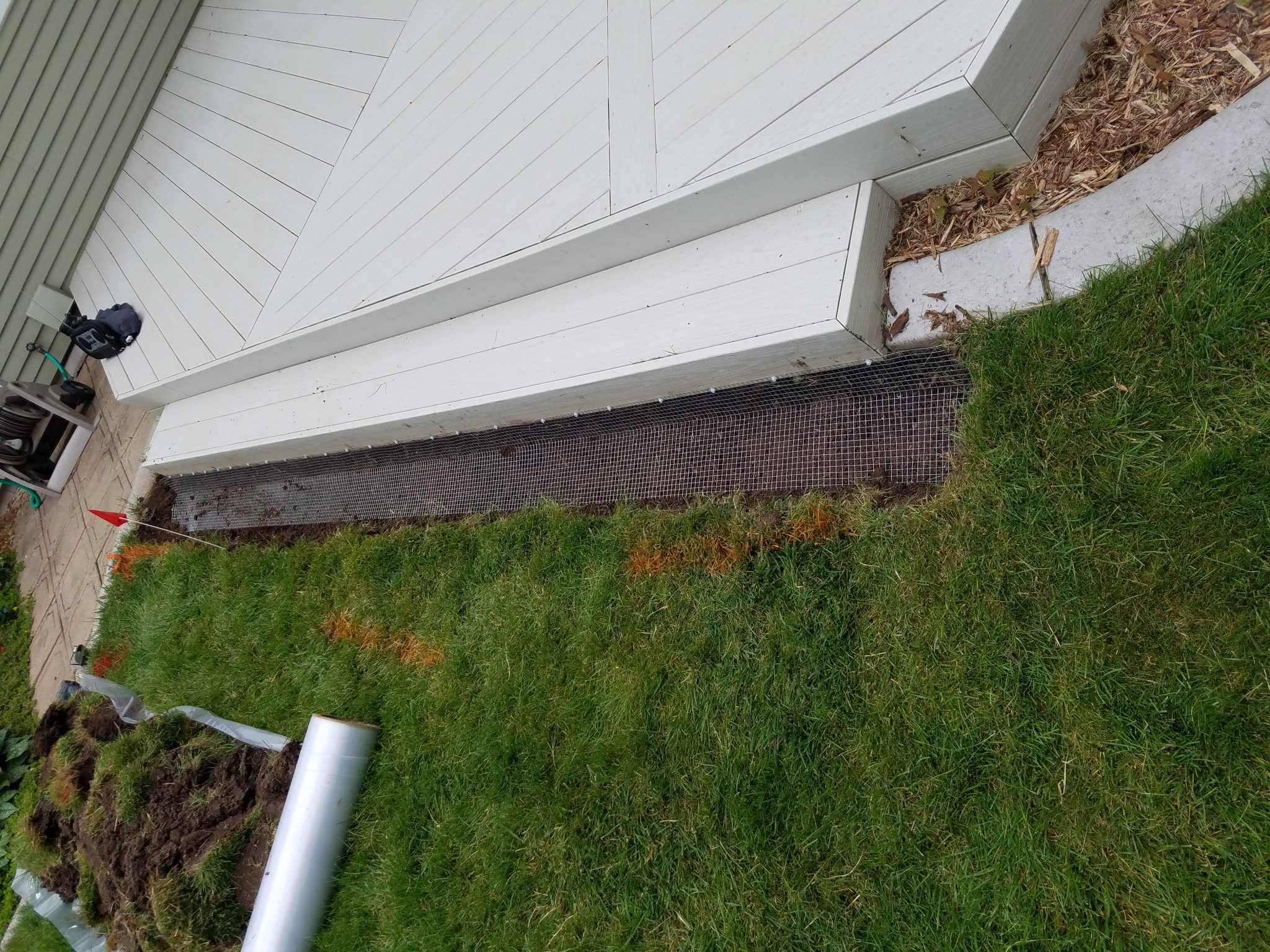 Chipmunks under my deck! | Suburban Wildlife Solutions, LLC