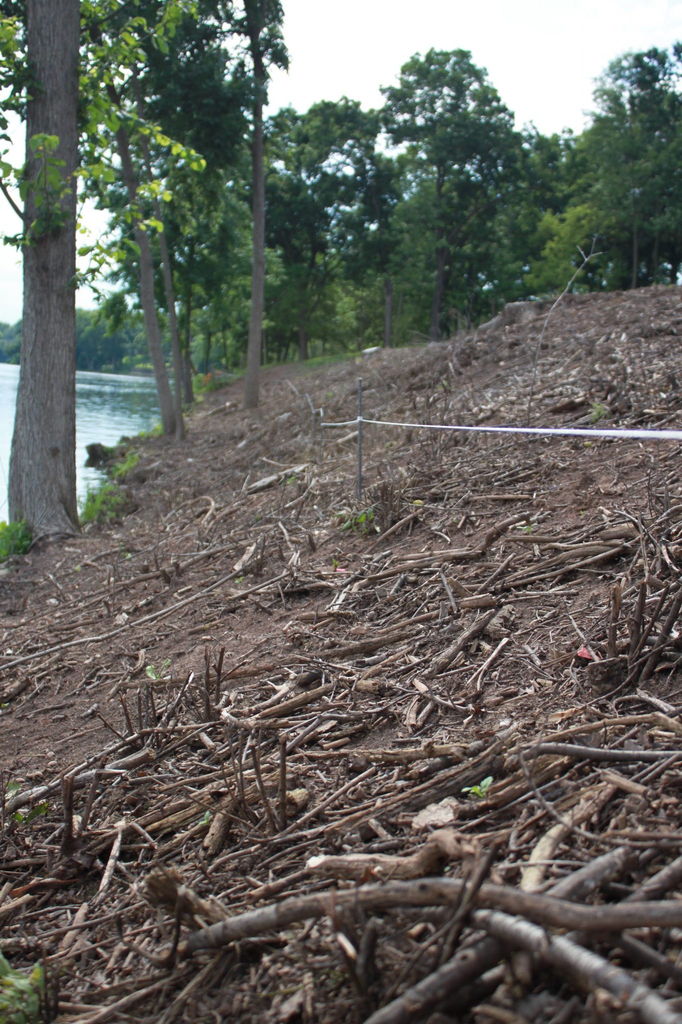 Goose Fencing Installed | Suburban Wildlife Solutions, LLC